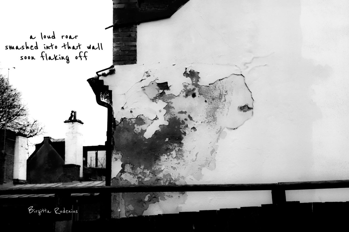 A Loud Roar – PICS & POETRY